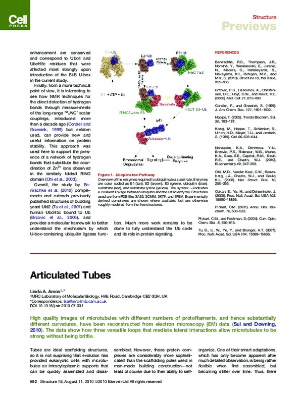 (PDF) Articulated Tubes