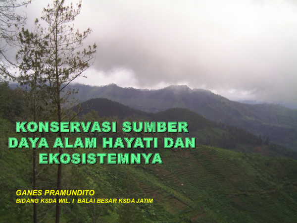 (PPT) Konservasi