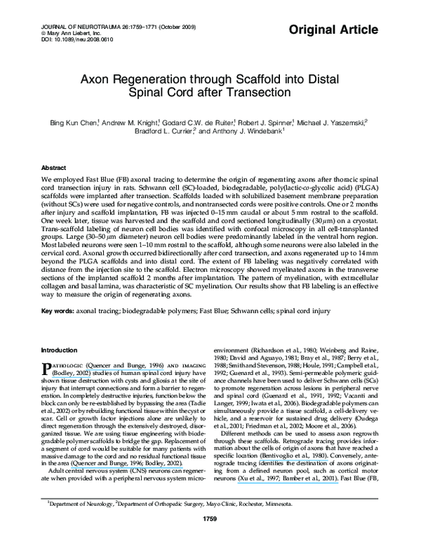 (PDF) Axon Regeneration through Scaffold into Distal Spinal Cord after ...