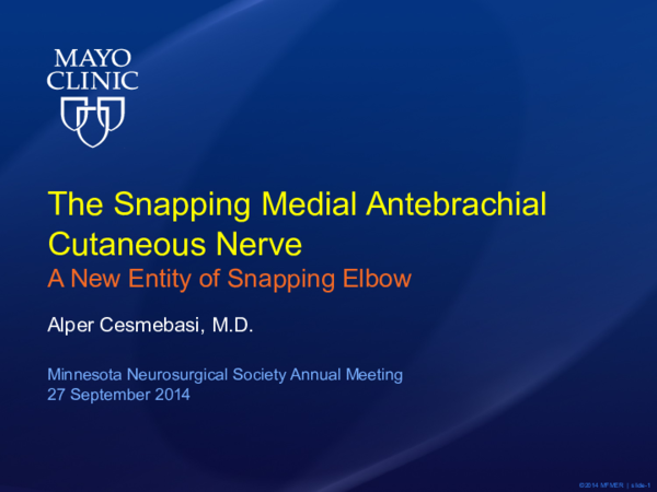 (PPT) The Snapping Medial Antebrachial Cutaneous Nerve | Robert Spinner ...