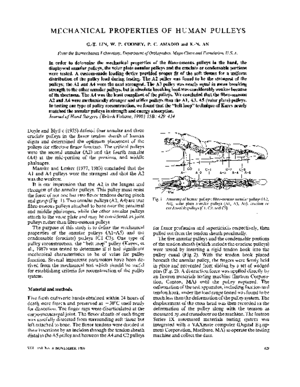 (PDF) Mechanical properties of human pulleys