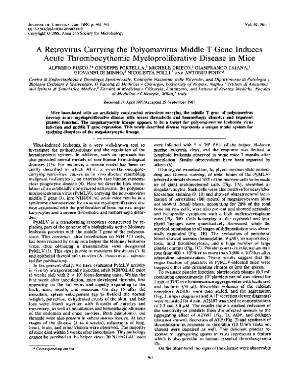 (PDF) A retrovirus carrying the polyomavirus middle T gene induces ...