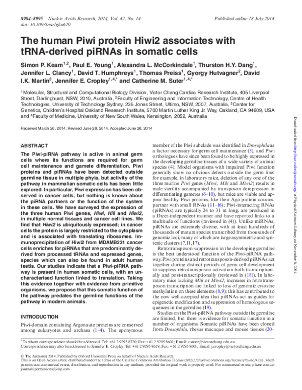 (PDF) The human Piwi protein Hiwi2 associates with tRNA-derived piRNAs ...