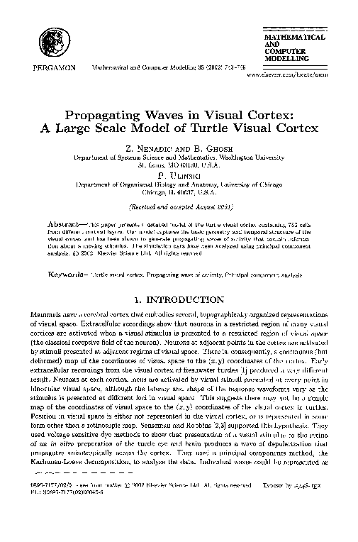 Pdf Propagating Waves In Visual Cortex A Large Scale Model Of Turtlevisual Cortex