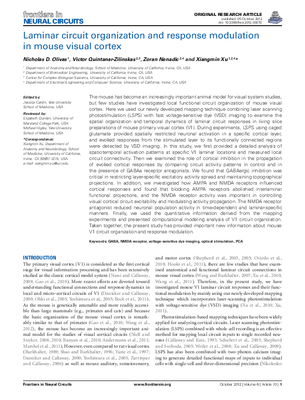 Pdf Laminar Circuit Organization And Response Modulation In Mouse