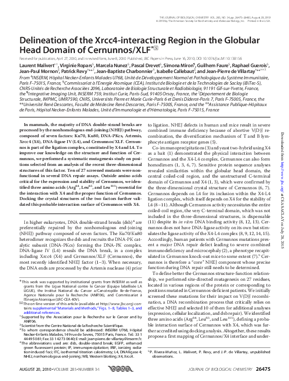 (PDF) Delineation of the Xrcc4-interacting Region in the Globular Head ...