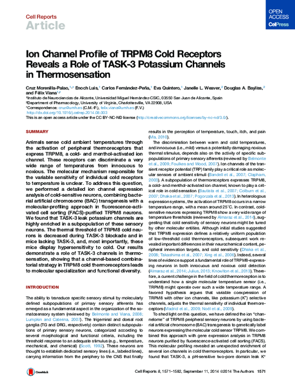 (PDF) Ion channel profile of TRPM8 cold receptors reveals a role of ...