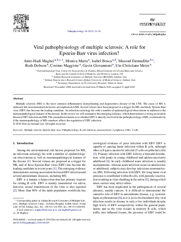 (PDF) Viral pathophysiology of multiple sclerosis: A role for Epstein ...