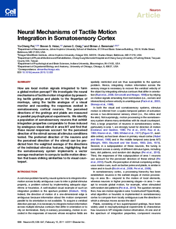 (PDF) Neural Mechanisms of Tactile Motion Integration in Somatosensory Cortex