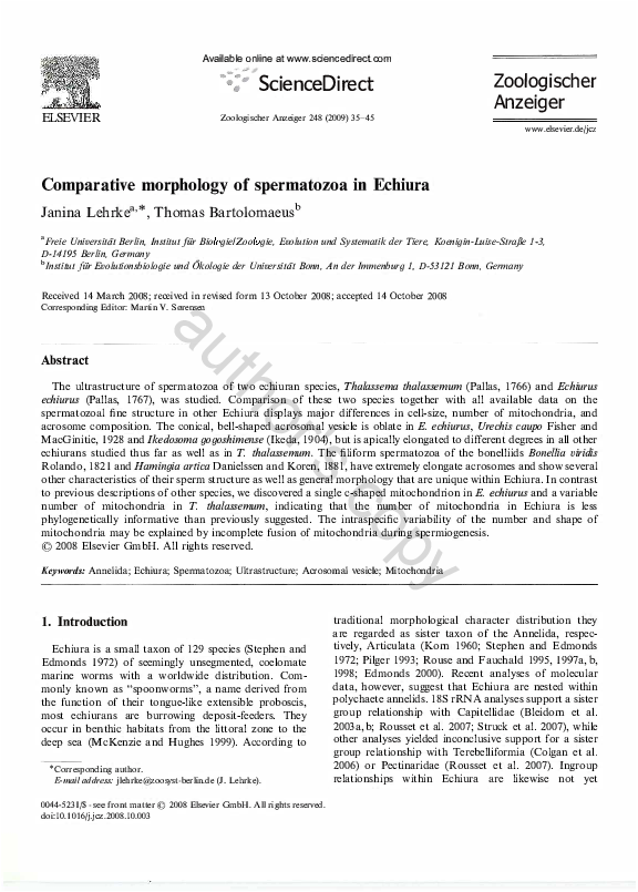(PDF) Comparative morphology of spermatozoa in Echiura