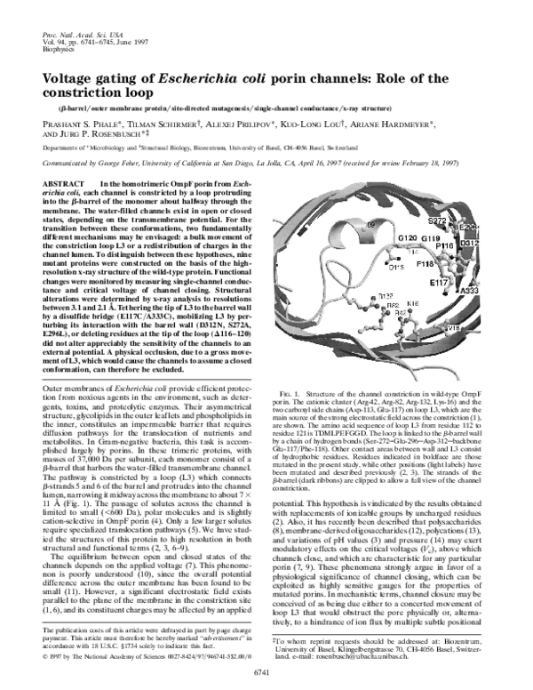 (PDF) Voltage gating of Escherichia coli porin channels: Role of the ...