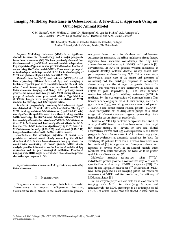 Pdf 20 Coupling Of Morphological And Functional Imaging On A X Rays