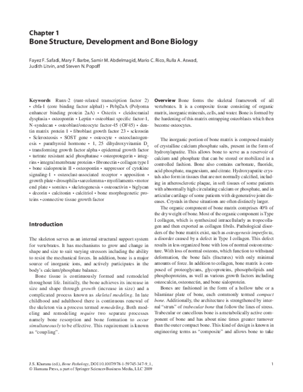 (PDF) Bone Structure, Development and Bone Biology