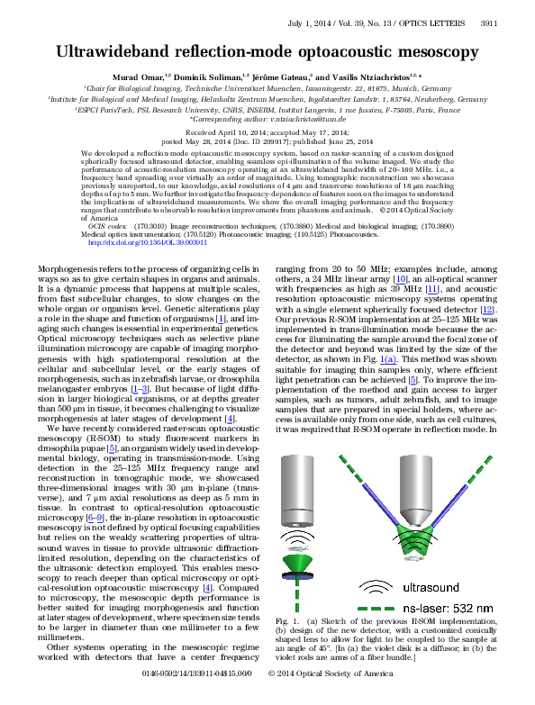 (PDF) Ultrawideband reflection-mode optoacoustic mesoscopy