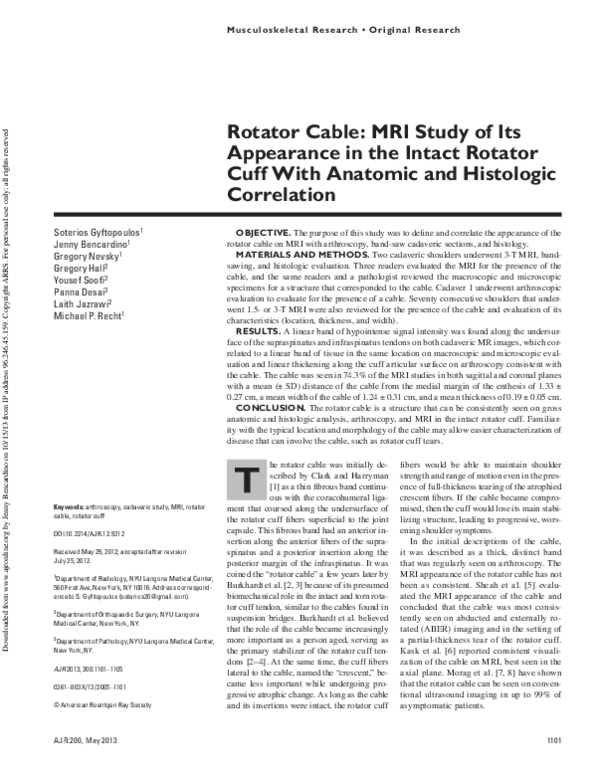 (PDF) Rotator Cable: MRI Study of Its Appearance in the Intact Rotator ...