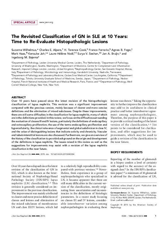 (PDF) The Revisited Classification of GN in SLE at 10 Years: Time to Re ...