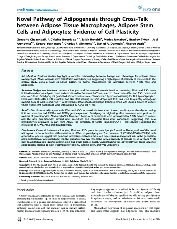 (PDF) Novel Pathway of Adipogenesis through Cross-Talk between Adipose Tissue Macrophages ...