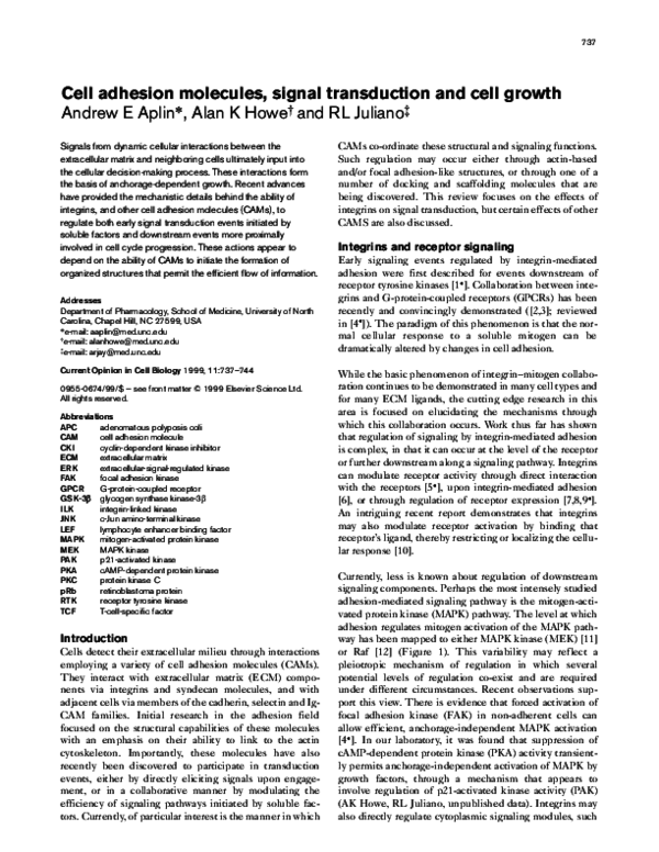 (PDF) Cell adhesion molecules, signal transduction and cell growth