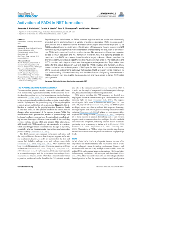 (PDF) Activation of PAD4 in NET formation