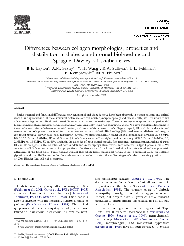 (PDF) Differences between collagen morphologies, properties and ...