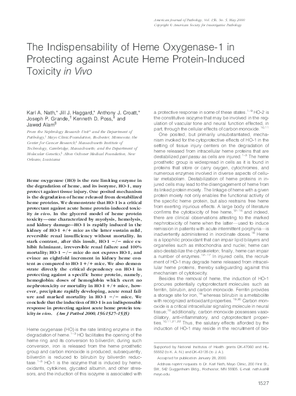 (PDF) The Indispensability of Heme Oxygenase-1 in Protecting against ...