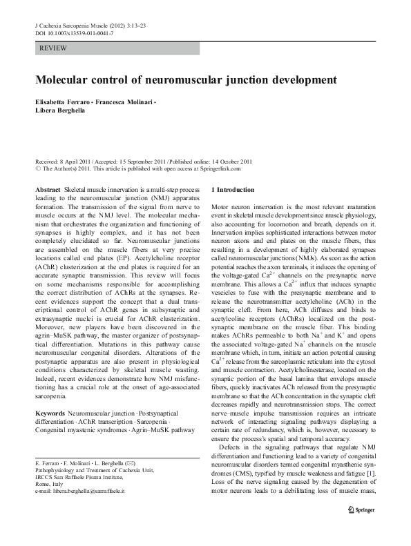 (PDF) Molecular control of neuromuscular junction development