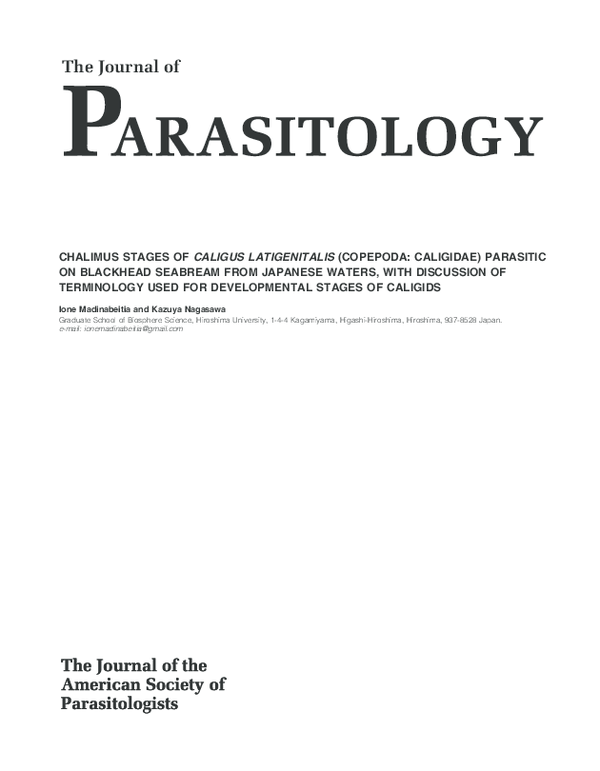 (PDF) Chalimus Stages of Caligus latigenitalis (Copepoda: Caligidae ...