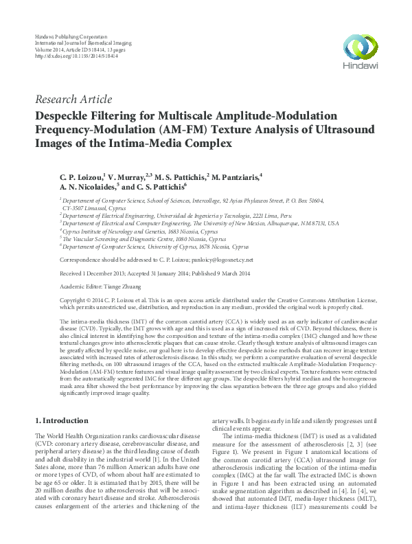 Pdf Despeckle Filtering For Multiscale Amplitude Modulation Frequency Modulation Am Fm
