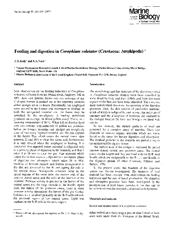 (PDF) Feeding and digestion in Corophium volutator (Crustacea: Amphipoda)