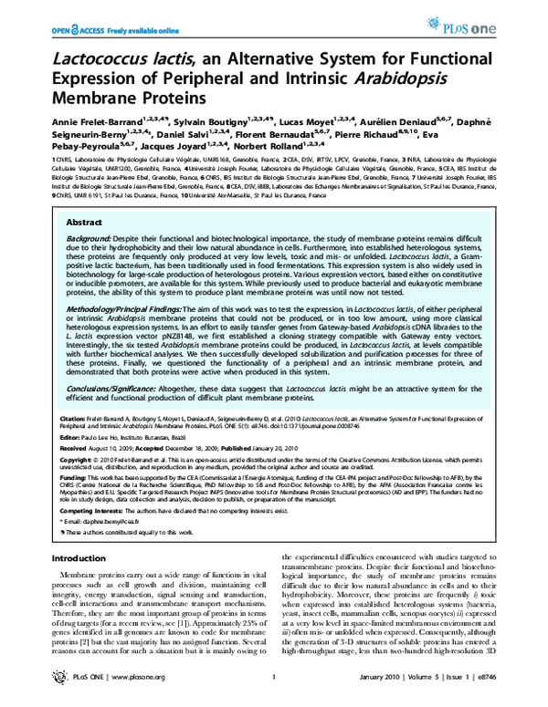 Lactococcus lactis, an Alternative System for Functional Expression of ...