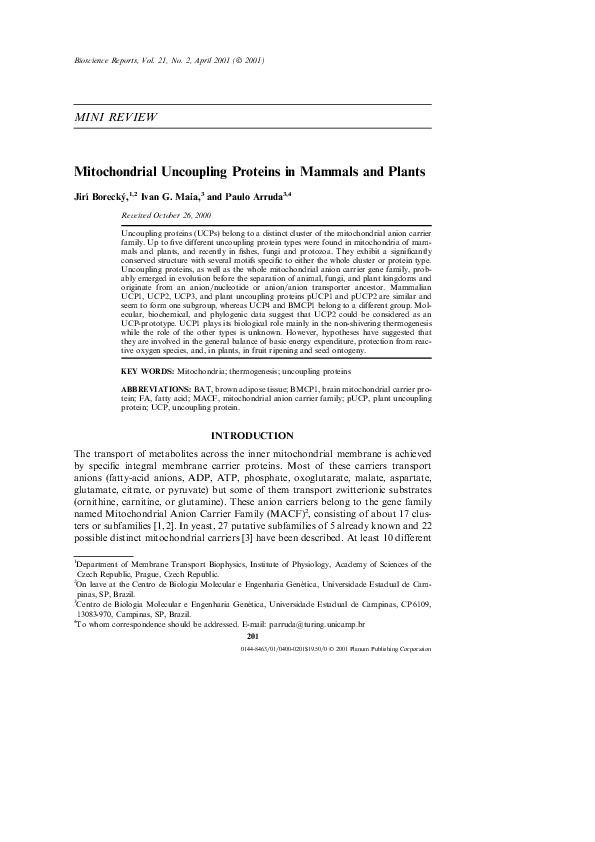 (PDF) Mitochondrial uncoupling proteins in mammals and plants