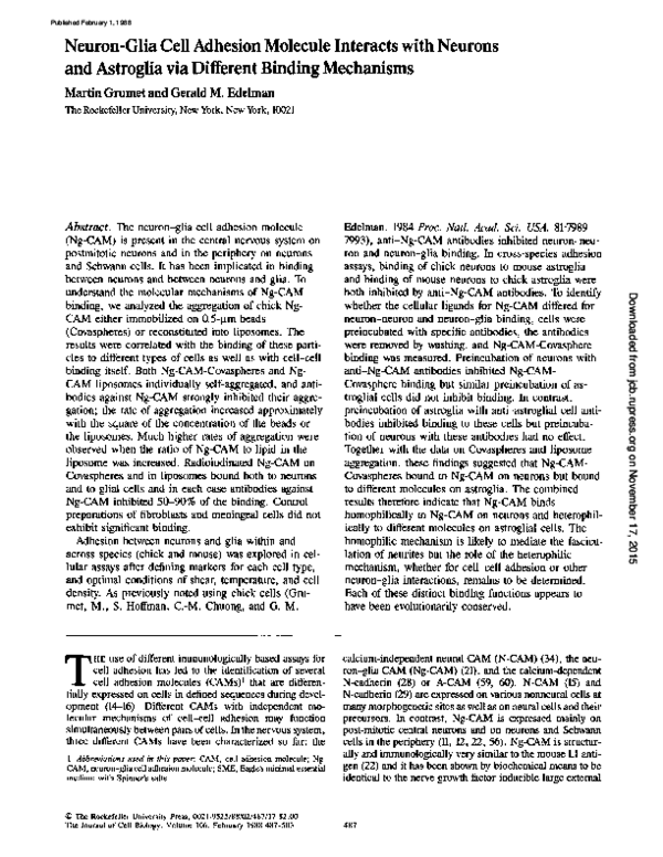(PDF) Neural cell adhesion molecule is endocytosed via a clathrin‐dependent pathway | Juan Diego ...