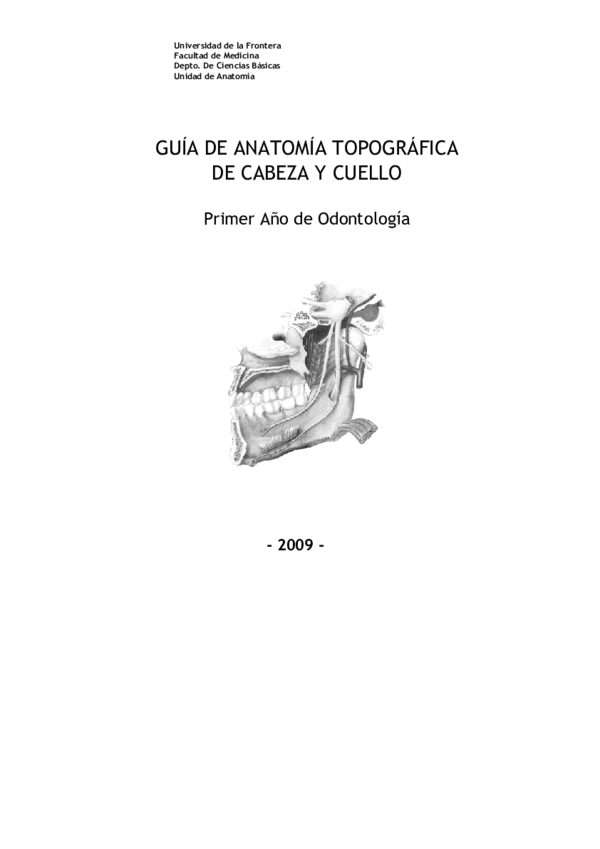 (PDF) Guia anatomia topografica cabeza y cuello
