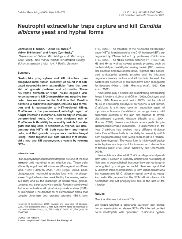 (PDF) Neutrophil extracellular traps capture and kill Candida albicans ...