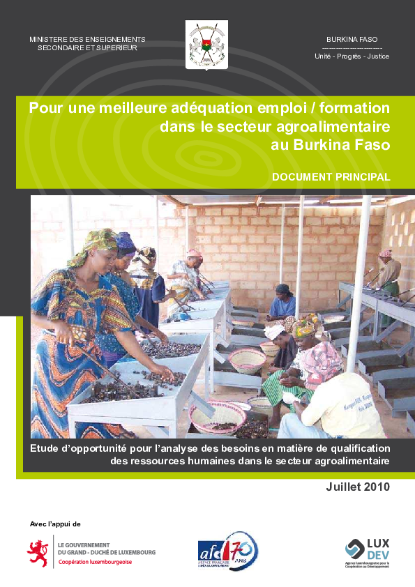 (PDF) Adequation formation emploi cas burkina faso