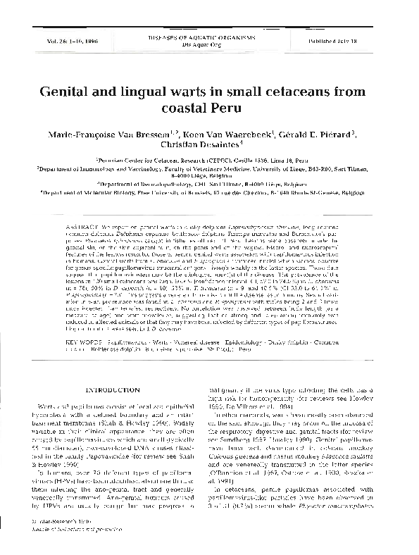 (PDF) Genital and lingual warts in small cetaceans from coastal Peru