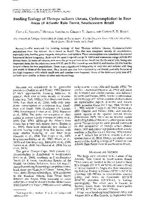 (PDF) Feeding Ecology of Thoropa Miliaris (Anura, Cycloramphidae) in ...