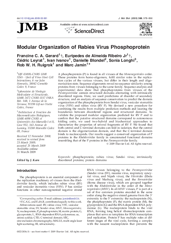 (PDF) Modular Organization of Rabies Virus Phosphoprotein | Marc Jamin ...