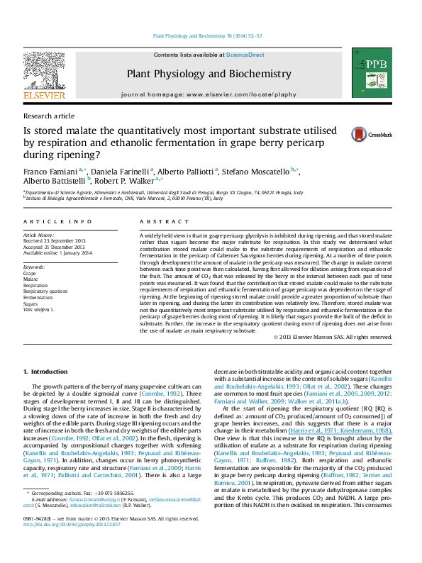 (PDF) Is stored malate the quantitatively most important substrate ...