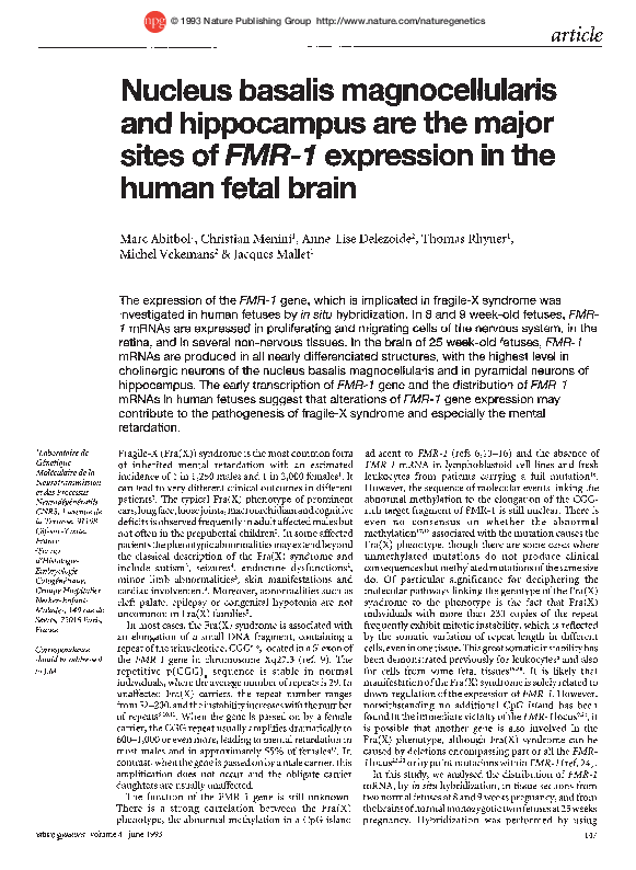 (PDF) Nucleus basalis magnocellularis and hippocampus are the major ...
