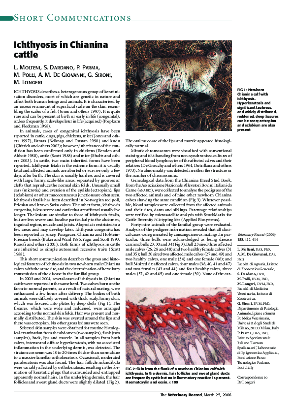 (PDF) Ichthyosis in Chianina cattle