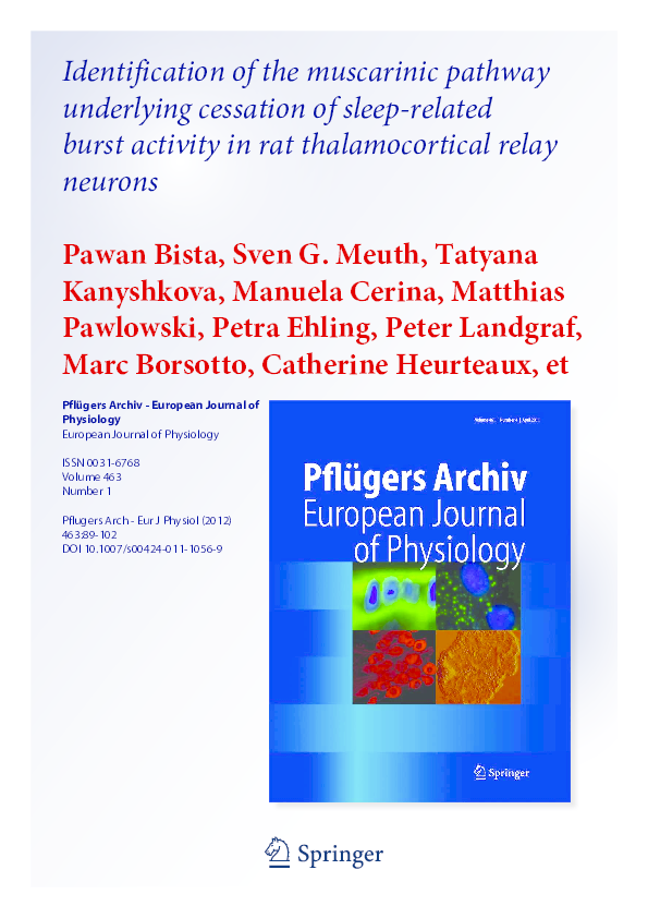 (PDF) Muscarinic Pathway in Thalamocortical Neurons