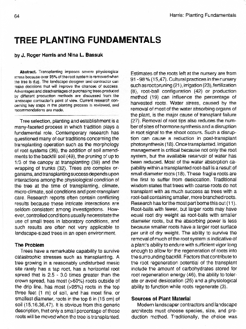 Pdf Tree Planting Fundamentals