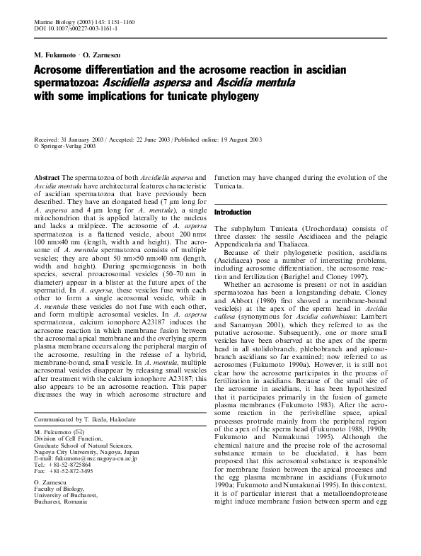 (PDF) Acrosome differentiation and the acrosome reaction in ascidian ...