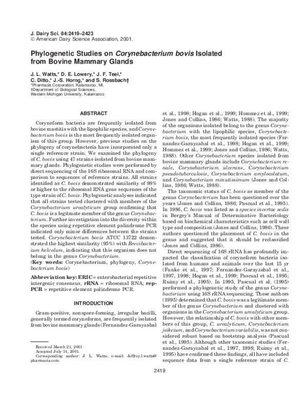 (PDF) Phylogenetic studies on Corynebacterium bovis isolated from ...