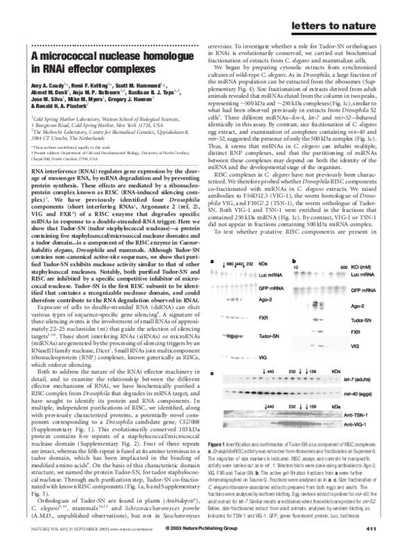(PDF) A micrococcal nuclease homologue in RNAi effector complexes