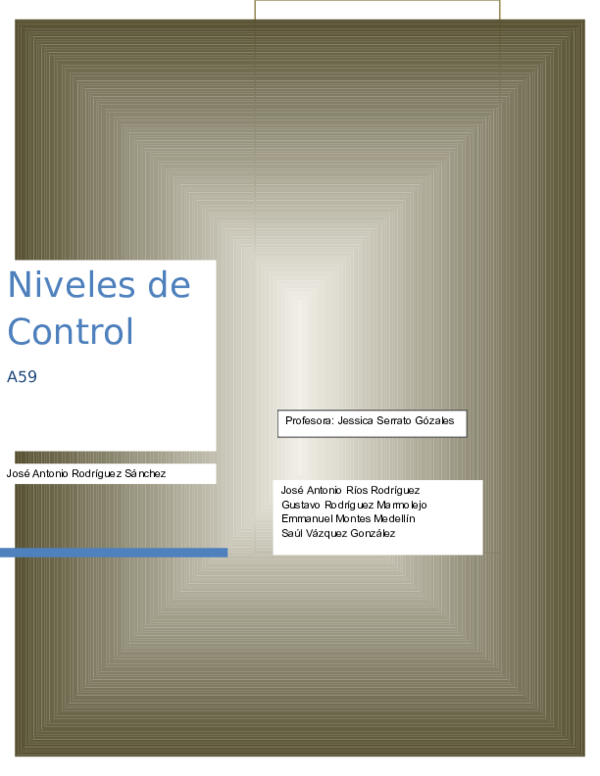 (DOC) Niveles de control | Antonio Rodríguez Sánz - Academia.edu
