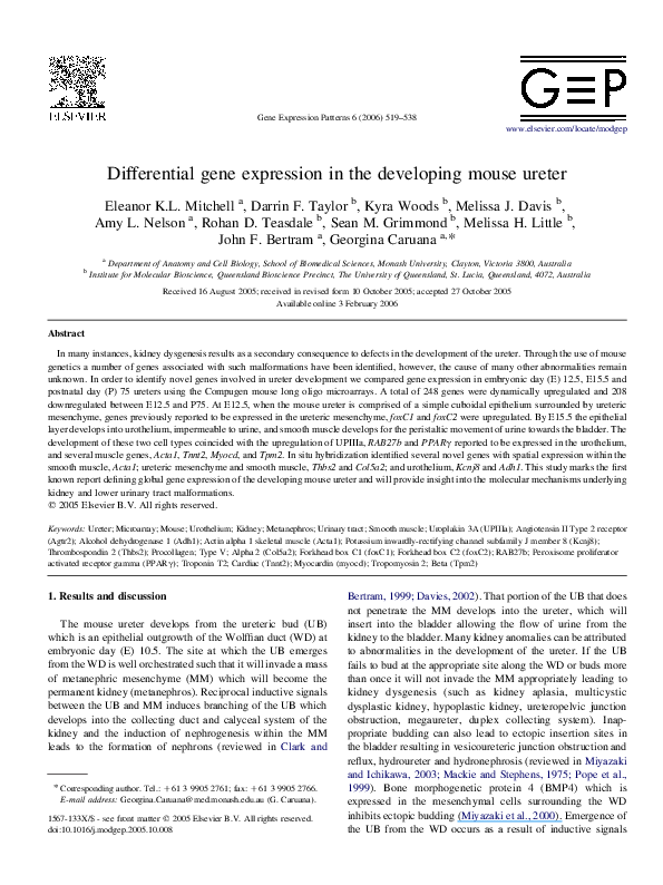 (PDF) Differential gene expression in the developing mouse ureter