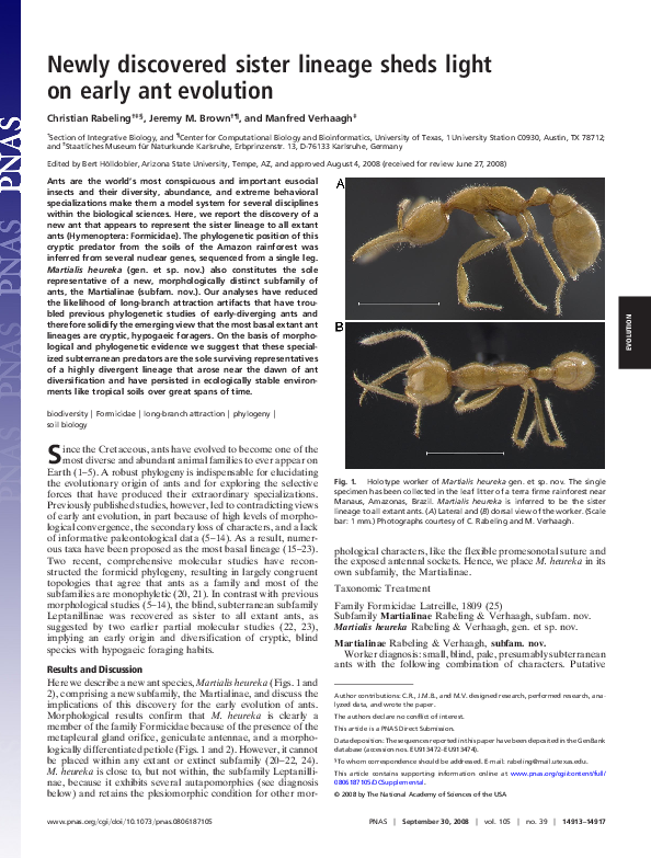 (PDF) Newly discovered sister lineage sheds light on early ant evolution