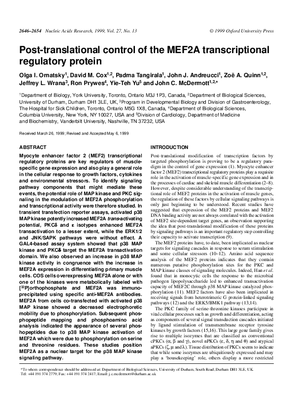(PDF) Post-translational control of the MEF2A transcriptional ...